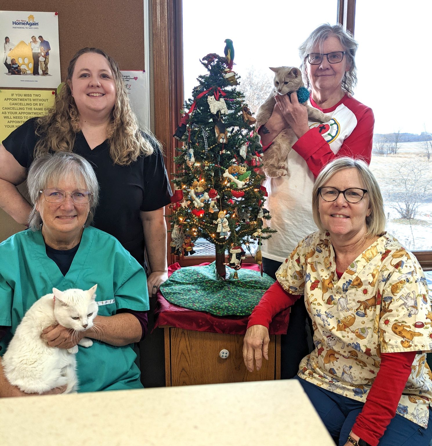 Staff - Rock Falls Veterinary Care