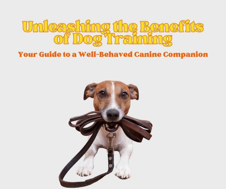Unleashing the Benefits of Dog Training - Rock Falls Veterinary Care